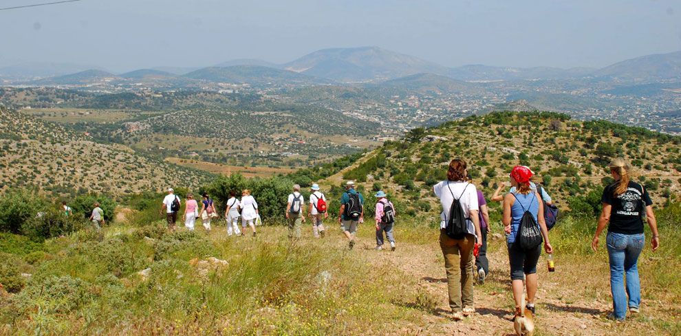 Περιπατητικό Φεστιβάλ 2017 | | wiz cyprus guide