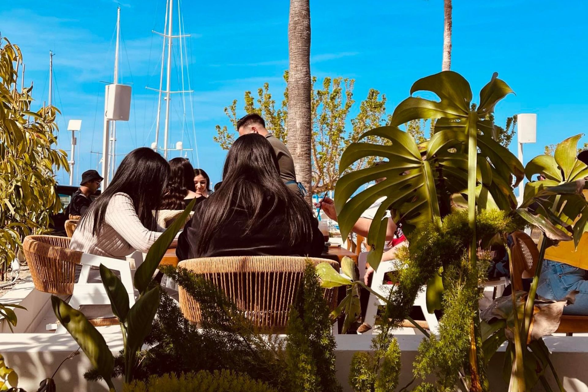 7 νέα παφίτικα στέκια που πρέπει να ανακαλύψεις | | wiz cyprus guide