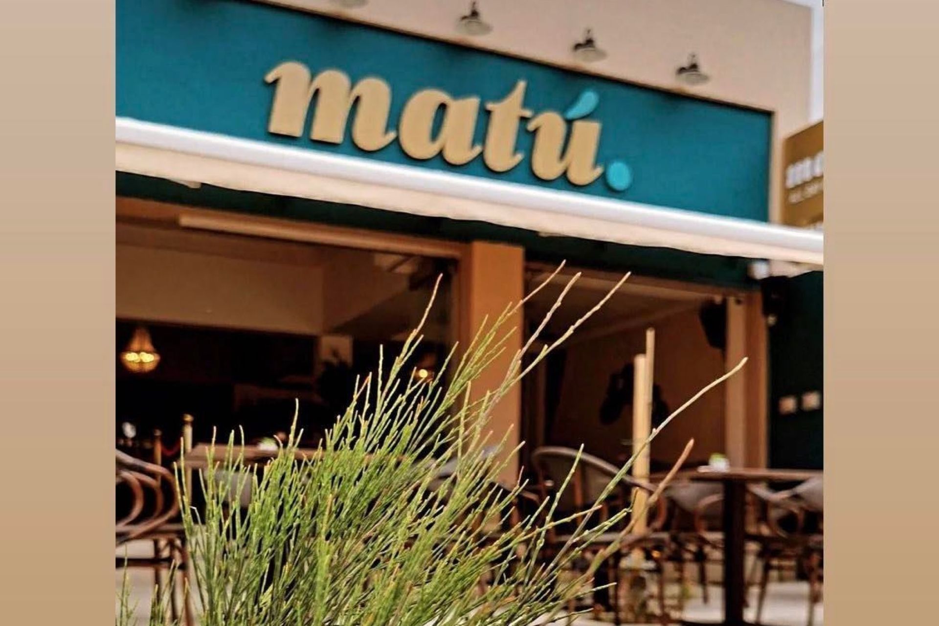 Matu: το πρώτο all day του Κάππαρη | | wiz cyprus guide