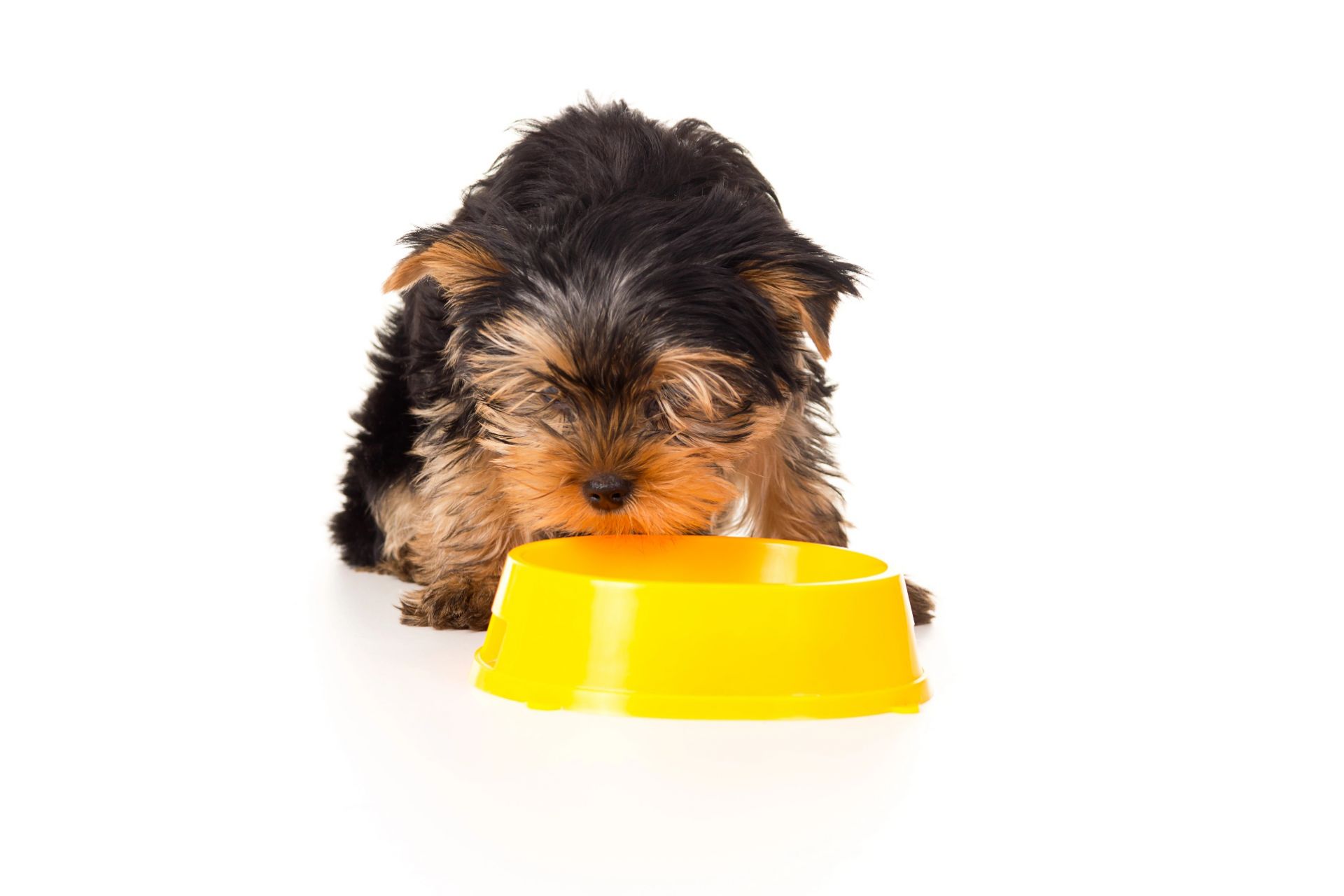 Epic Street Fest Summer Edition - Η πιο Επική απόλυτη γιορτή του ...