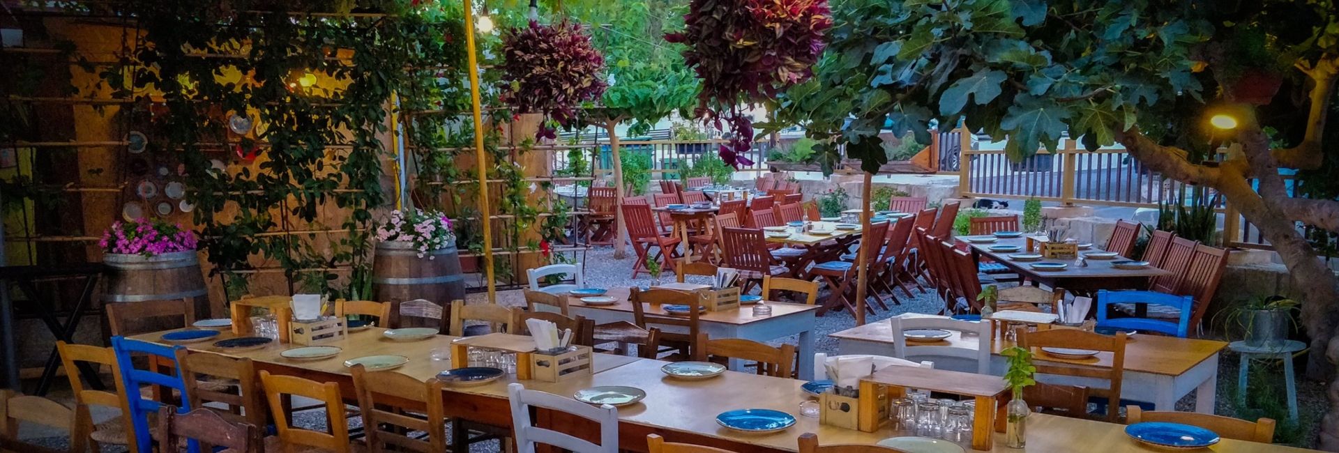 Οι πιο πράσινες αυλές για εκλεκτούς μεζέδες | Collections | wiz cyprus ...