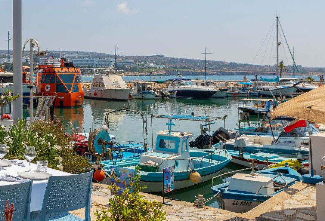 Για ψάρι στην ελεύθερη Αμμοχωστο | Collections | wiz cyprus guide