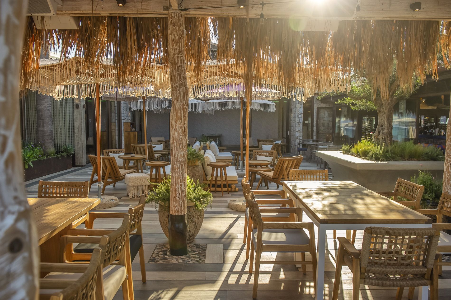 All day παραθαλάσσια μαγαζιά με party διάθεση | Collections | wiz ...