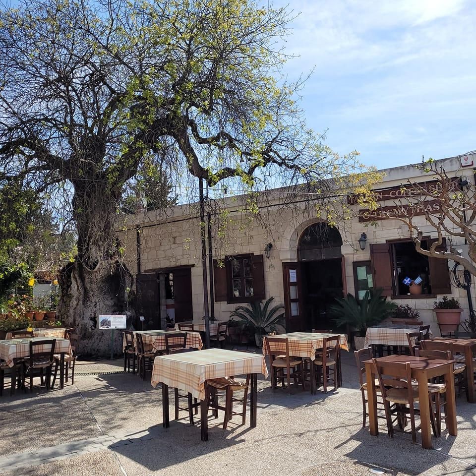 Ο Τρέμυθας της Σίμου | Restaurants and Bars | wiz cyprus guide