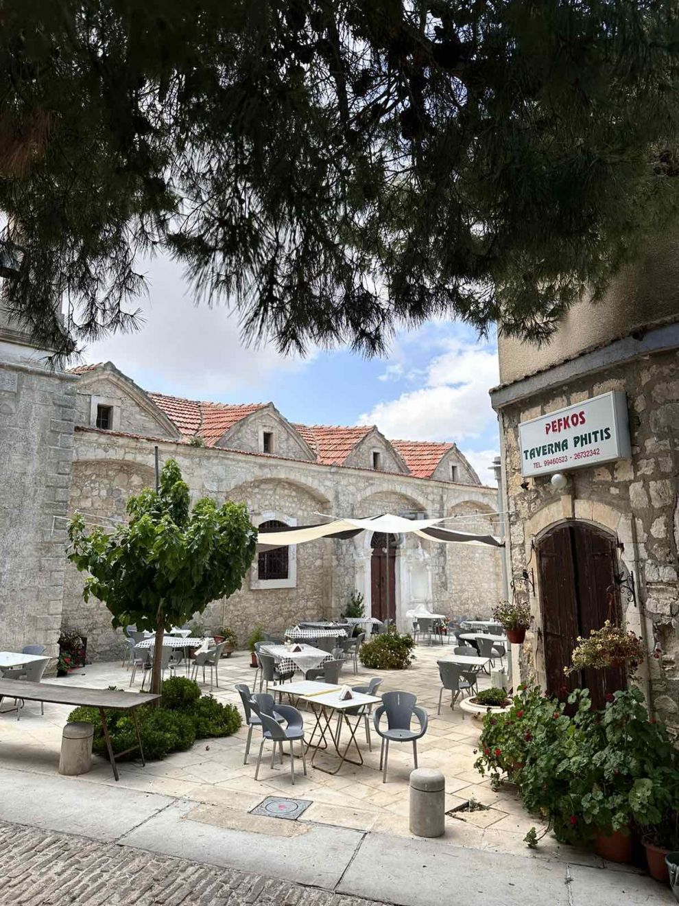 Πεύκος | Restaurants and Bars | wiz cyprus guide