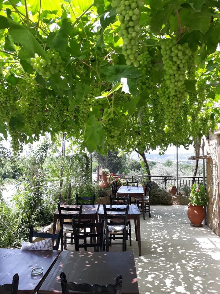 Spring of Life | Restaurants and Bars | wiz cyprus guide