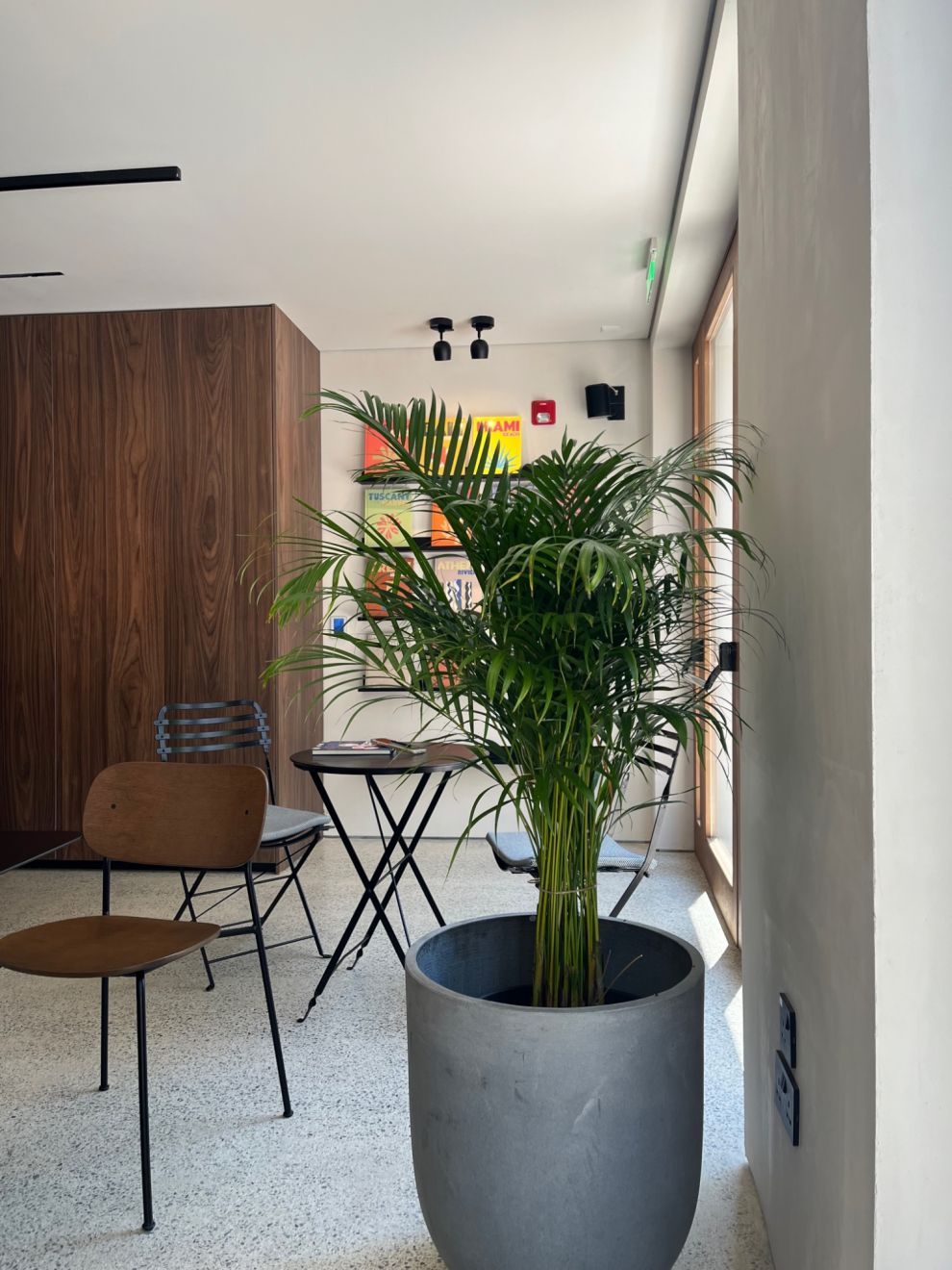 Istorja | Restaurants and Bars | wiz cyprus guide